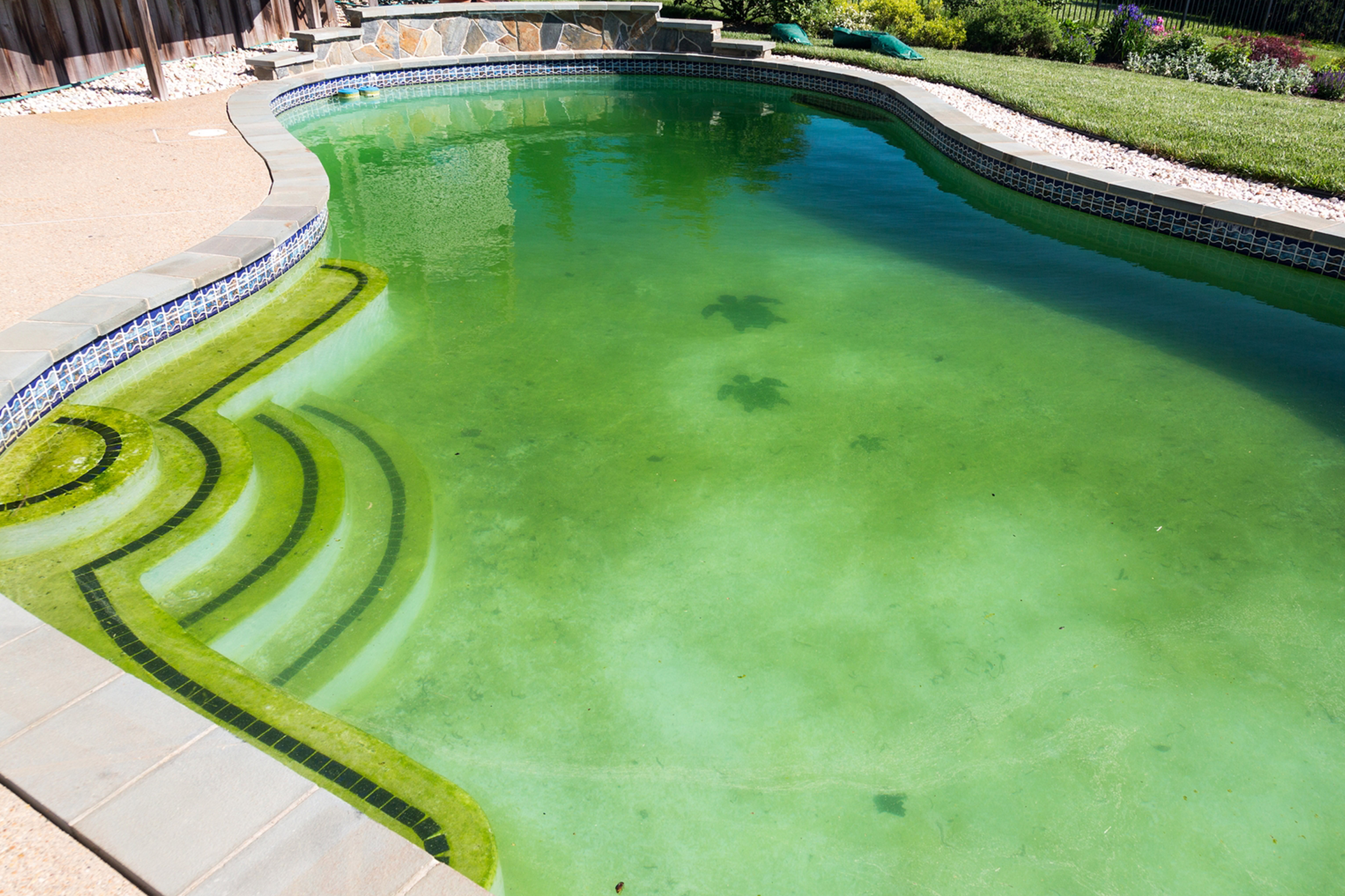 How to Remove Phosphates in Swimming Pools | Effective Phosphate ...